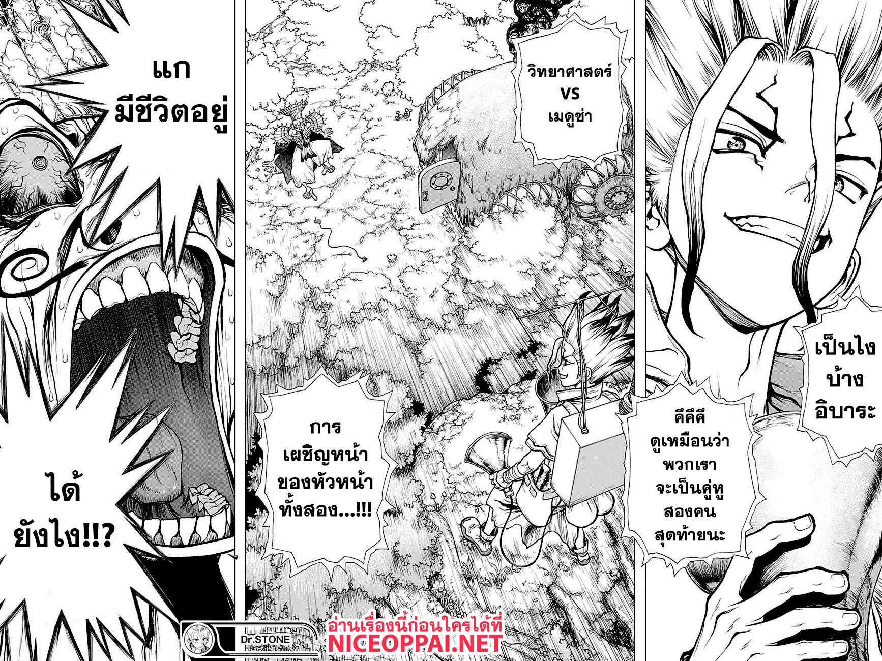 อ่าน Dr.Stone ตอนที่ 134 การเผชิญหน้าของผู้บัญชาการ TH แปลไทย - Niceoppai