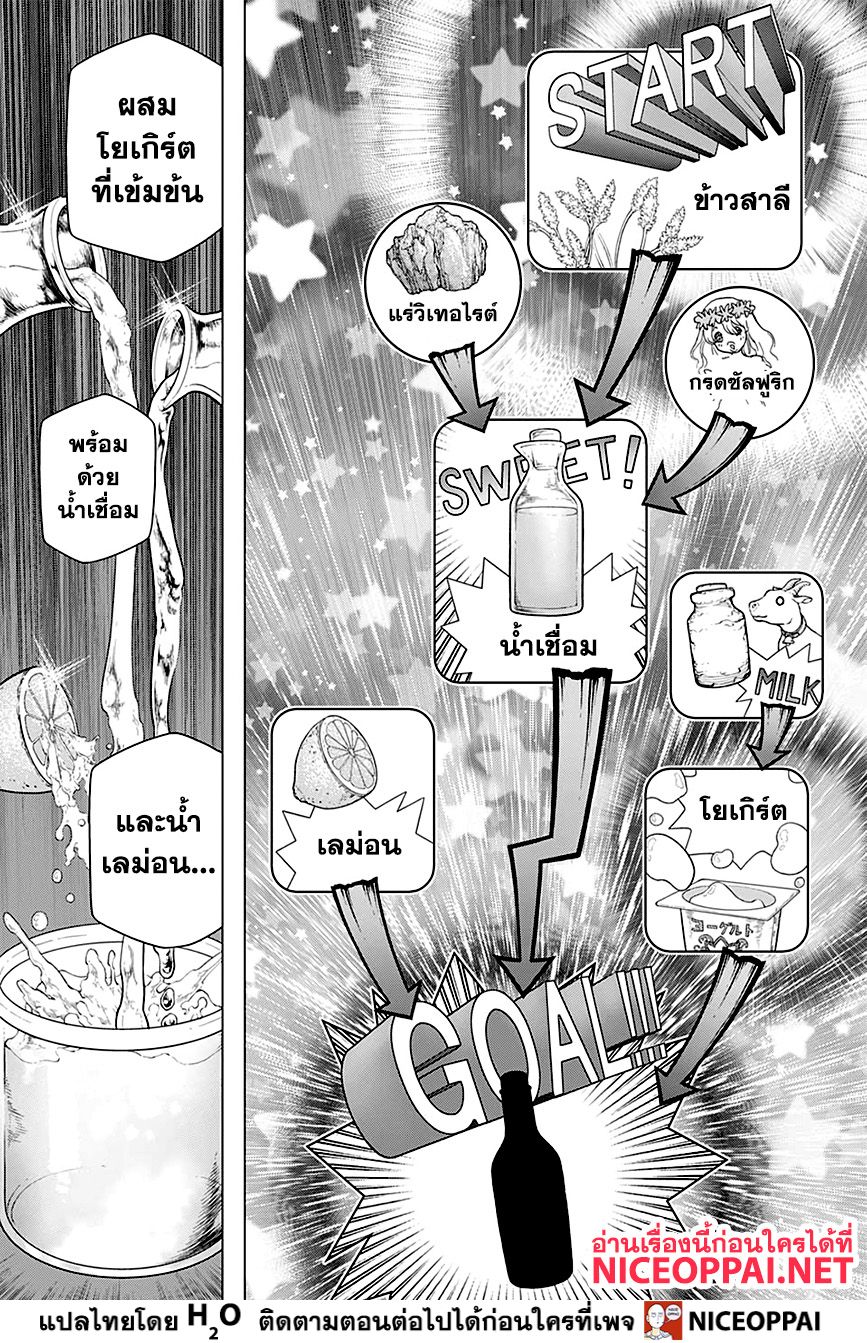 อ่าน Dr.Stone ตอนที่ 145 BAR FRANÇOIS TH แปลไทย - Niceoppai